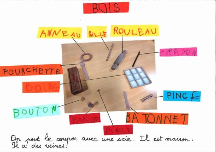 Explorer la matière en cycle 1 (Maternelle) – Pôle éducatif du Mont de ...